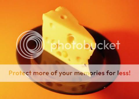 Lambo Doors - Page 2 - CorvetteForum - Chevrolet Corvette Forum Discussion