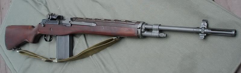 New Polytech | M14 Forum