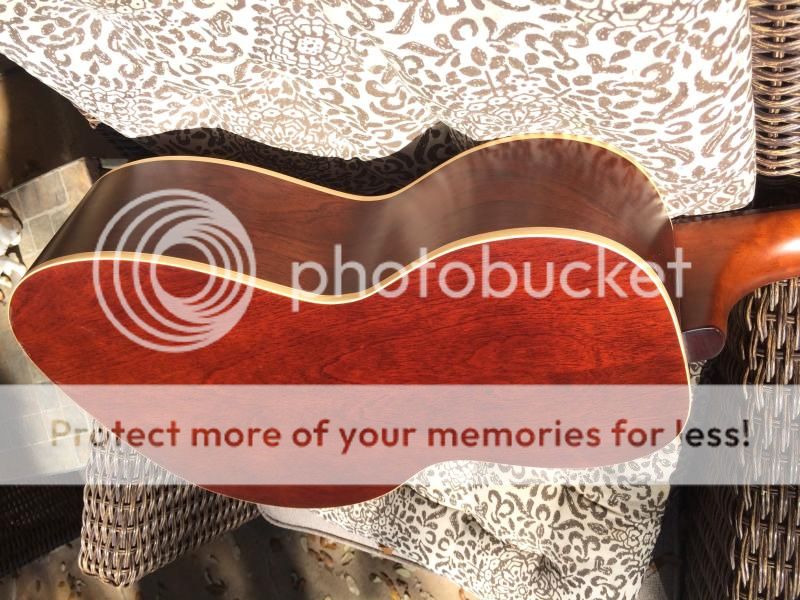 NGD--Seagull Coastline Grand Parlor - The Acoustic Guitar Forum