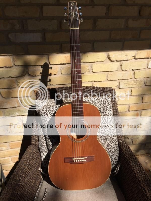 NGD--Seagull Coastline Grand Parlor - The Acoustic Guitar Forum
