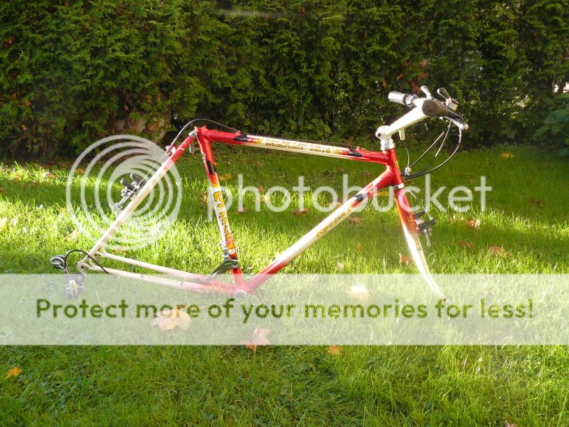 1987 Rossin Marathon | Mountain Bike Reviews Forum