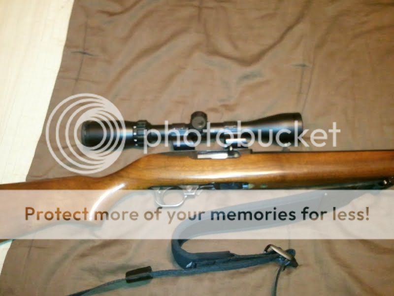 UKC Forums - ultimate coon hunting rifle