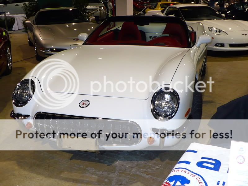 Different Corvette. | Firebird Nation