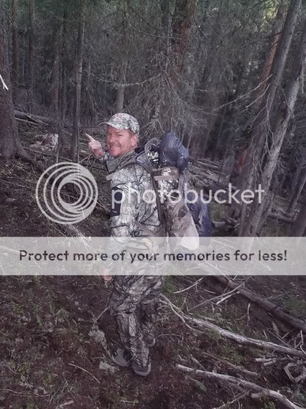 Elk hunting pics, lets see um!! | Archery Talk Forum