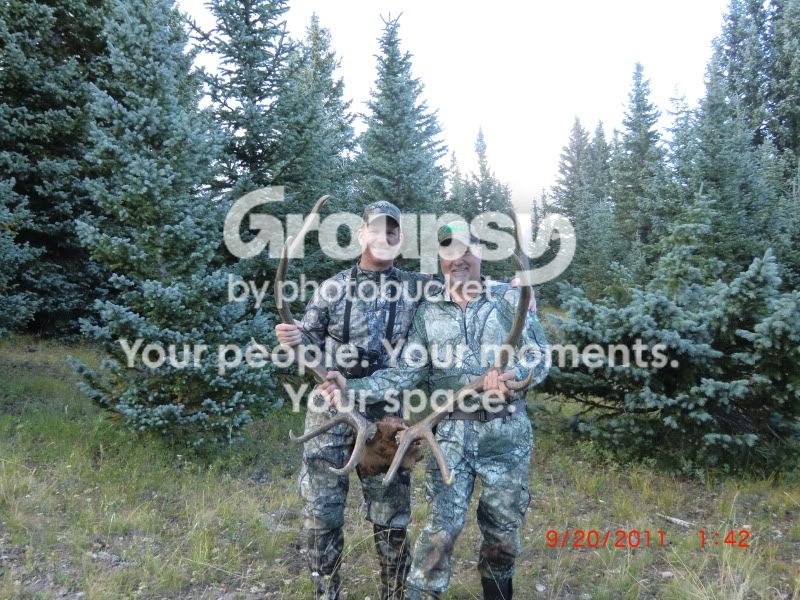 Elk hunting pics, lets see um!! | Archery Talk Forum