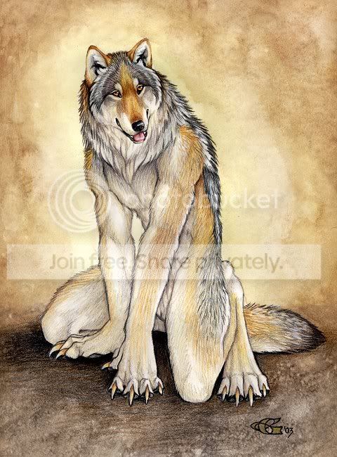 Wolf anthro pics! (feel free to use them) | Page 1 | Feral Heart ...