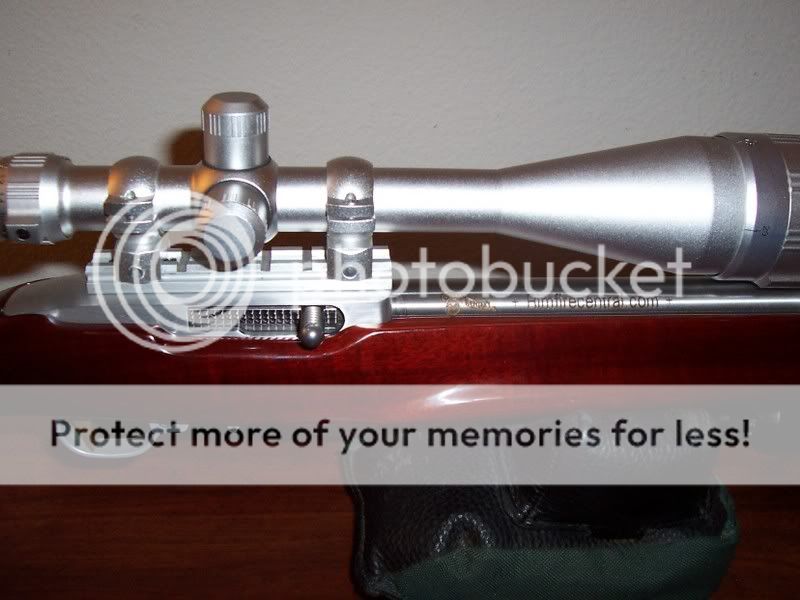 Silver Weigand rail pictures? | Rimfire Central Firearm Forum