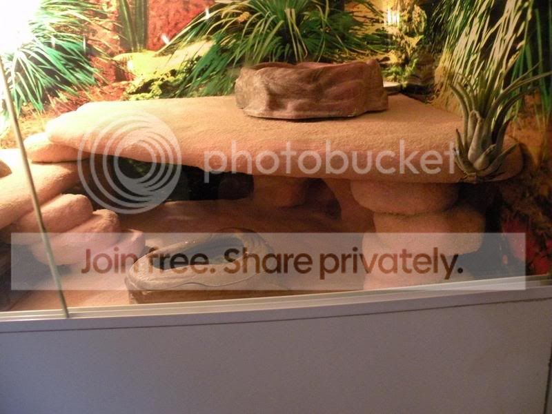 Leopard Gecko Desert Rock Build (round 2) | Reptile Forums